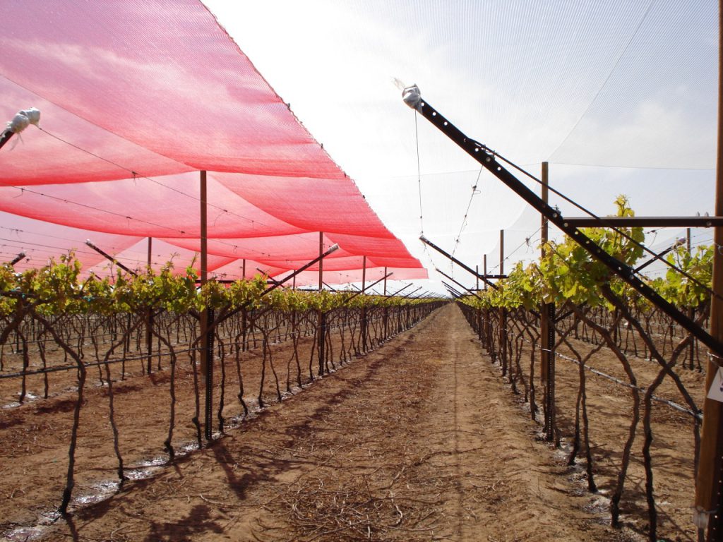Nets and Ground cover Archives - Poly-ag